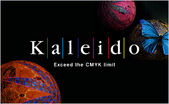 KALEIDO™ Authentication Environment GMG Japan K.K. "GMG DotProof XG ...